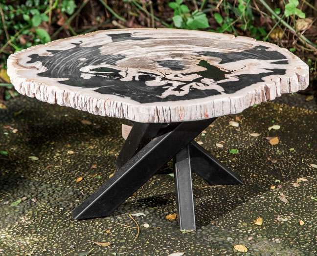 Solid Petrified Wood Roundish Side Table - Tarita Furniture